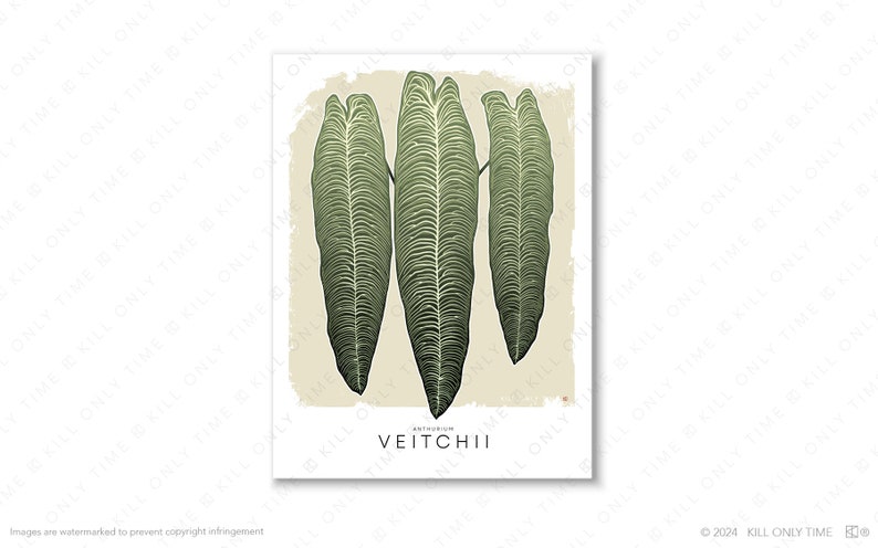 Modern Anthurium Veitchii Art Print: Hand-drawn Botanical King Plant ...