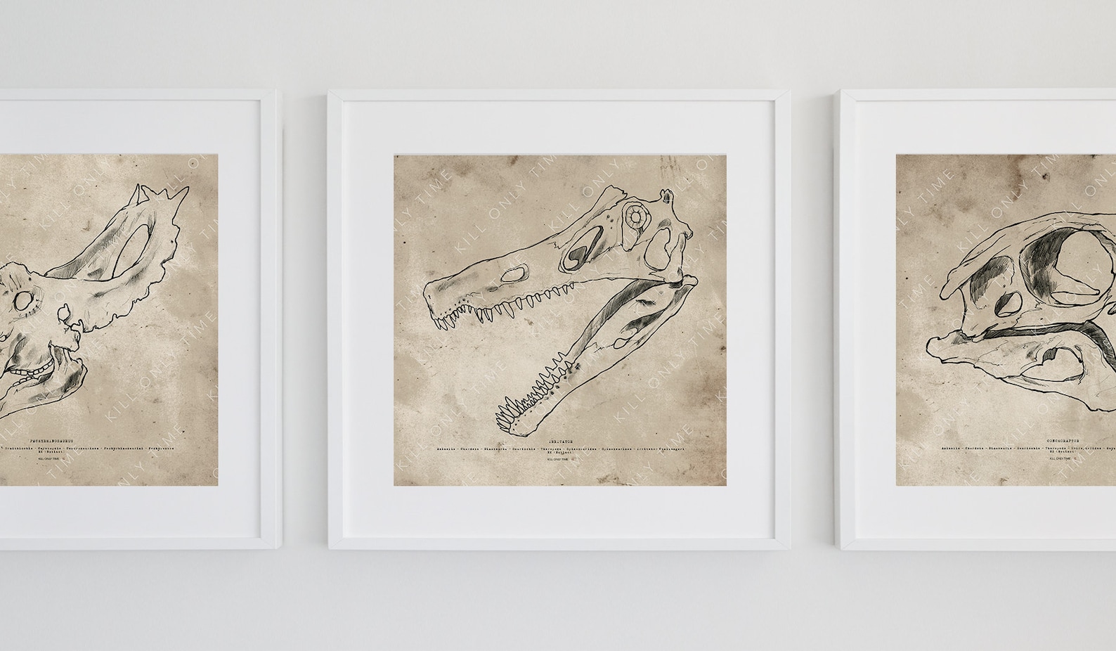 Irritator Drawing Wall Art, Vintage Antique Dinosaur Fossil Art Print ...