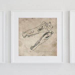 Irritator Drawing Wall Art, Vintage Antique Dinosaur Fossil Art Print ...
