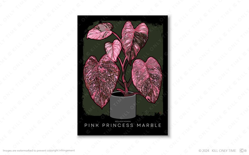Vintage Philodendron Pink Princess Marble II Art Print, Variegated Pink ...