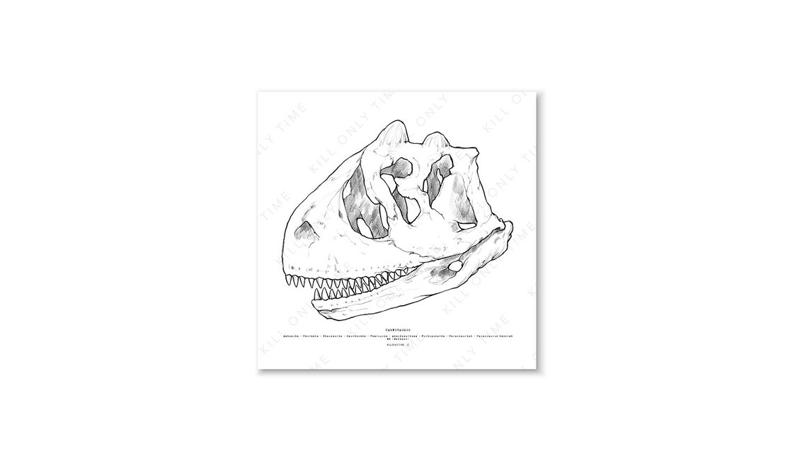 Carnotaurus Skull Drawing Wall Art Vintage Antique Drawing - Etsy UK