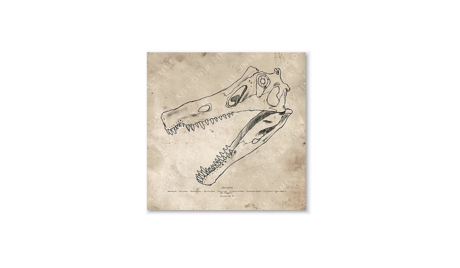Irritator Drawing Wall Art, Vintage Antique Dinosaur Fossil Art Print ...