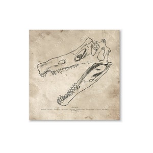 Irritator Drawing Wall Art, Vintage Antique Dinosaur Fossil Art Print ...