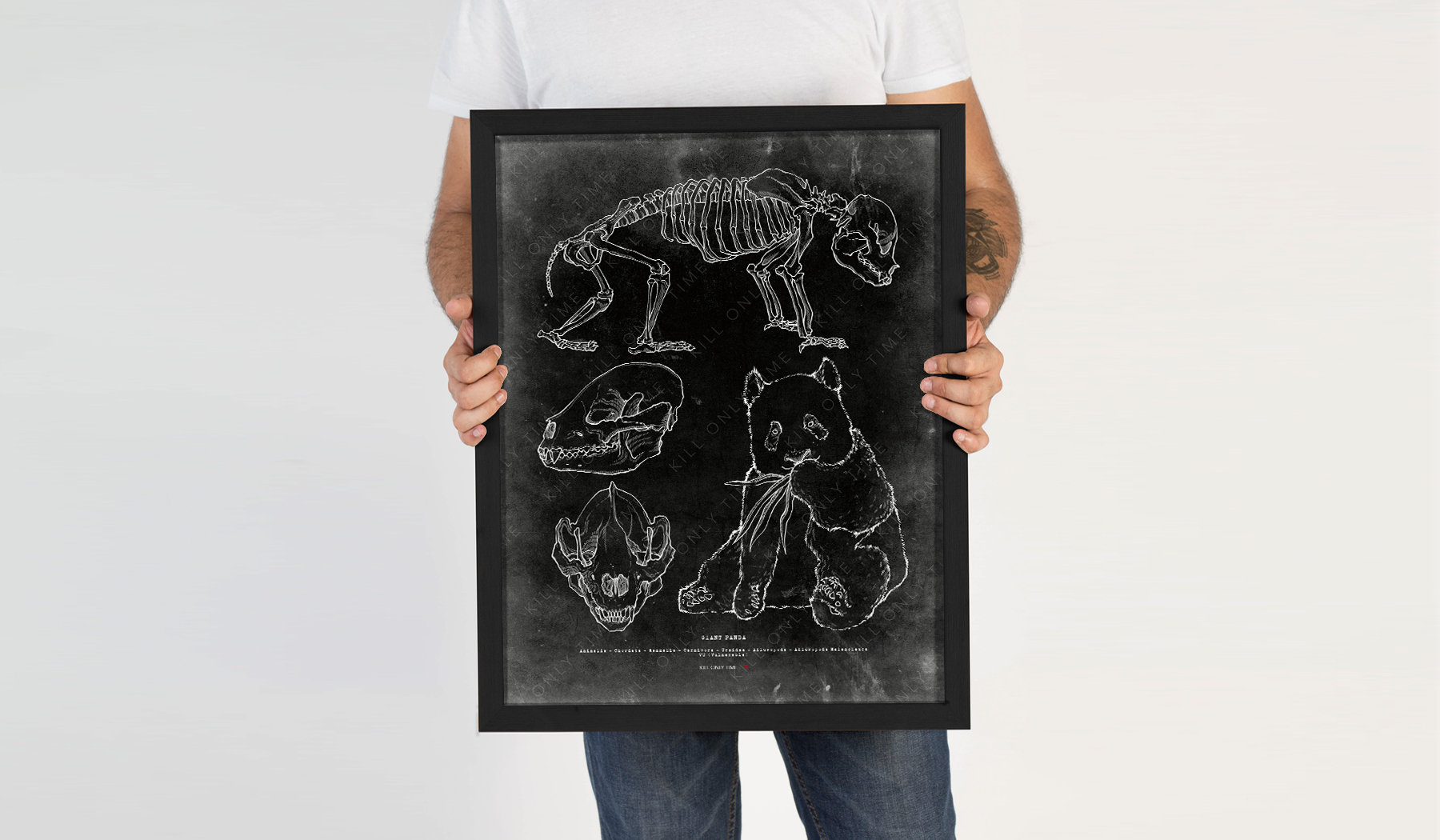 Giant Panda Skeleton Wall Art, Chinese Panda Skull Drawing, Panda ...