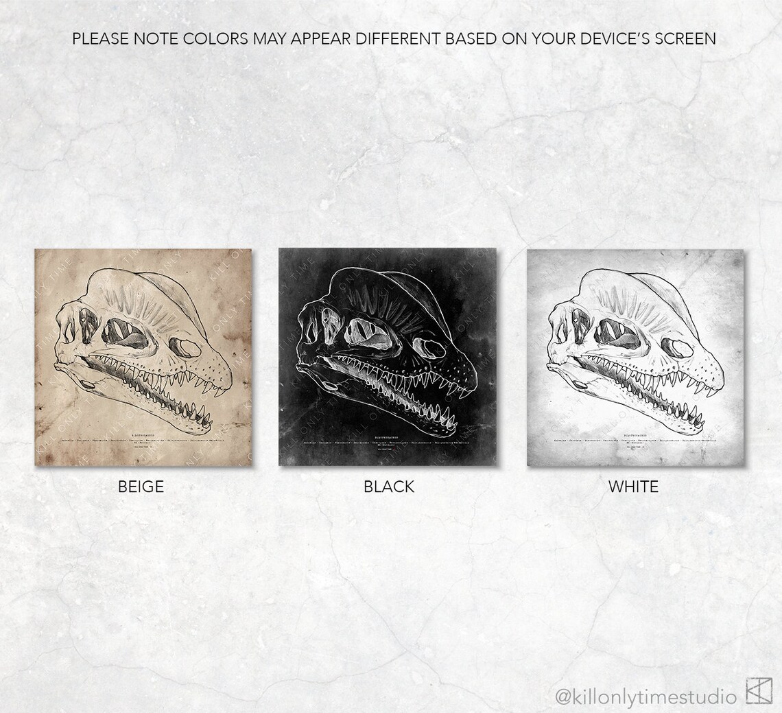 Dilophosaurus Skull Art Print - Vintage Antique Drawing Art Print ...