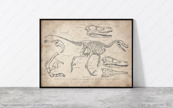 Dinosaur Skeleton Line Art