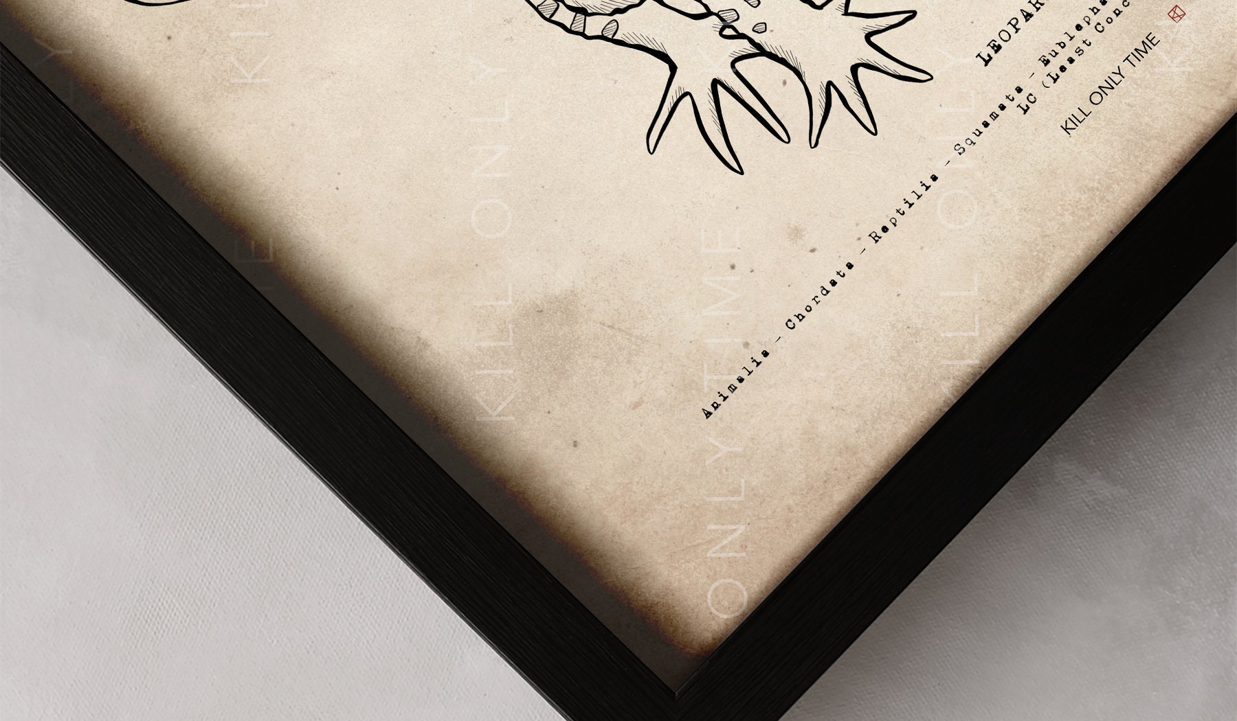 Leopard Gecko Skeleton Wall Art, Gecko Skull Drawing Print, Reptile ...