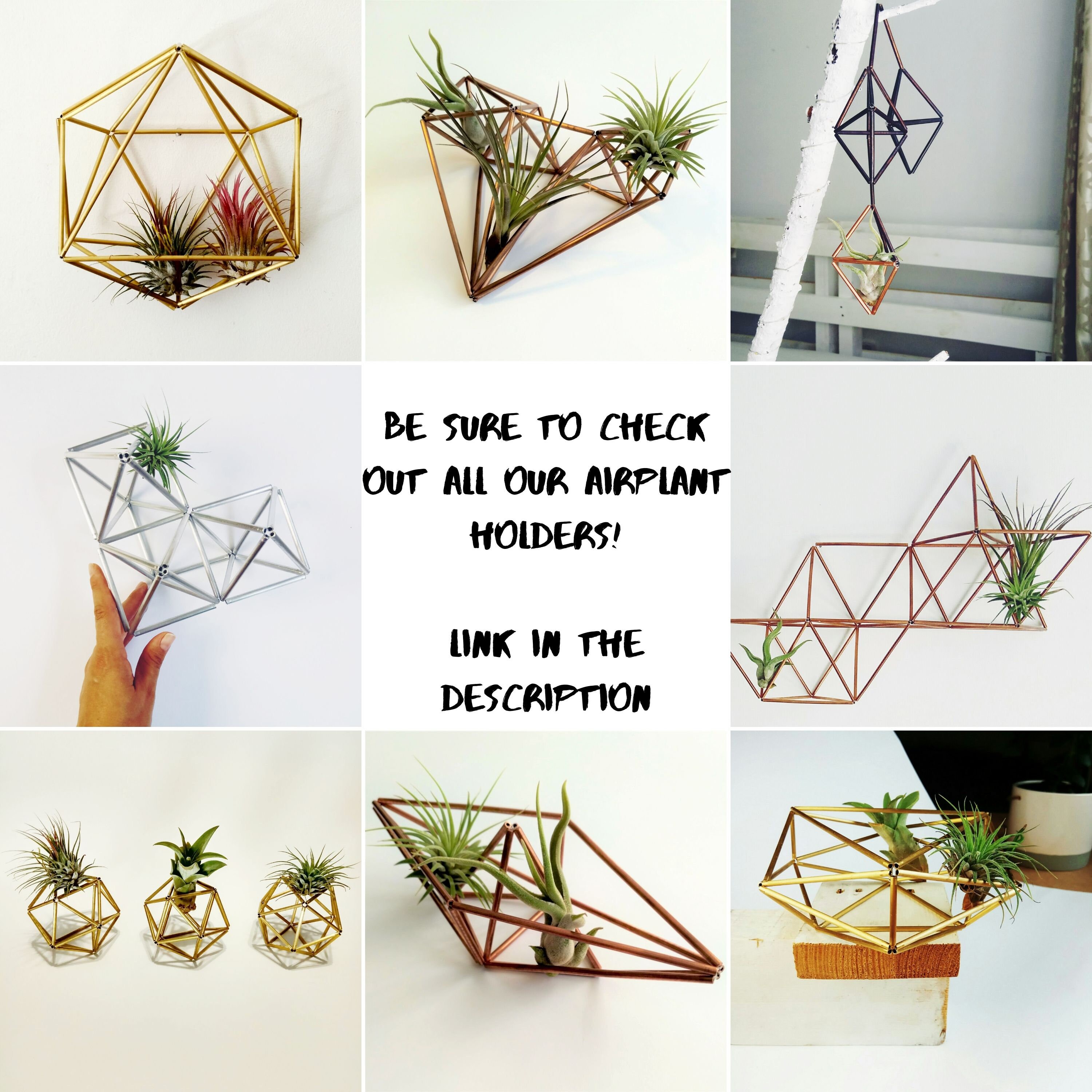 Unique Air Planters Air Plant Holder Paperboat Airplants - Etsy