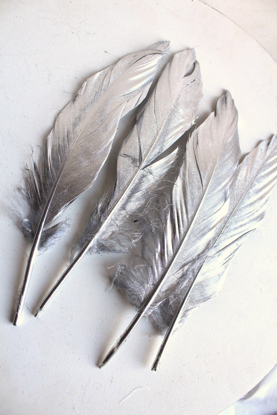 0.75eur/piece 4x Large Feathers Silver Feather Swing Feathers 15-18 Cm ...