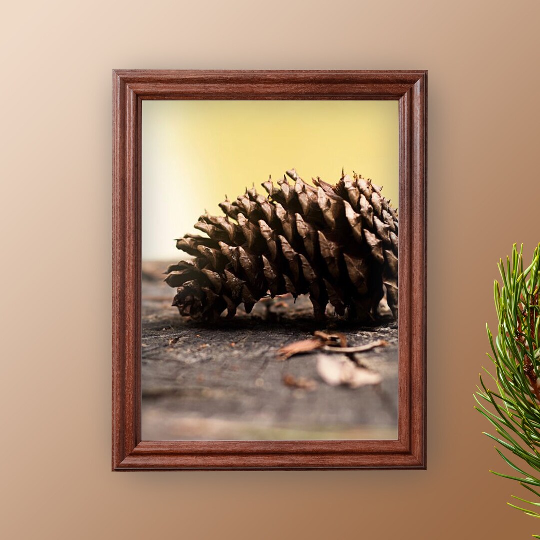 Walnut Brown Art Frame .75 Inch Solid Wood Classic Photo Display Dark ...