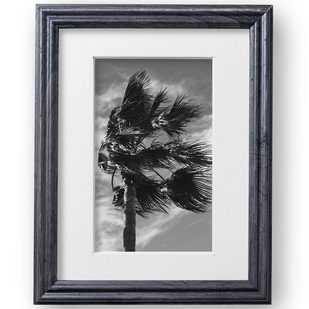 8x10 Distressed Gray Picture Frame Matted to 5x7 for Wall Solid Wood ...