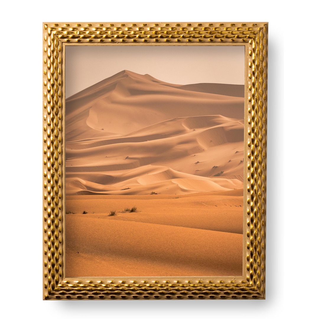Gold Snake Skin Picture Frame 1 Inch Wide, Luxury Textured Gold Art ...