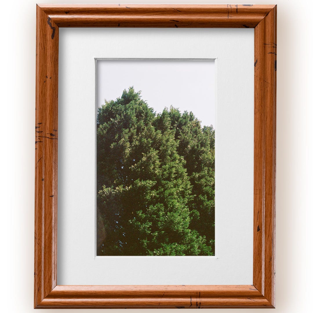8x10 Distressed Oak Picture Frame Matted to 5x7 for Wall Solid Wood Oak ...