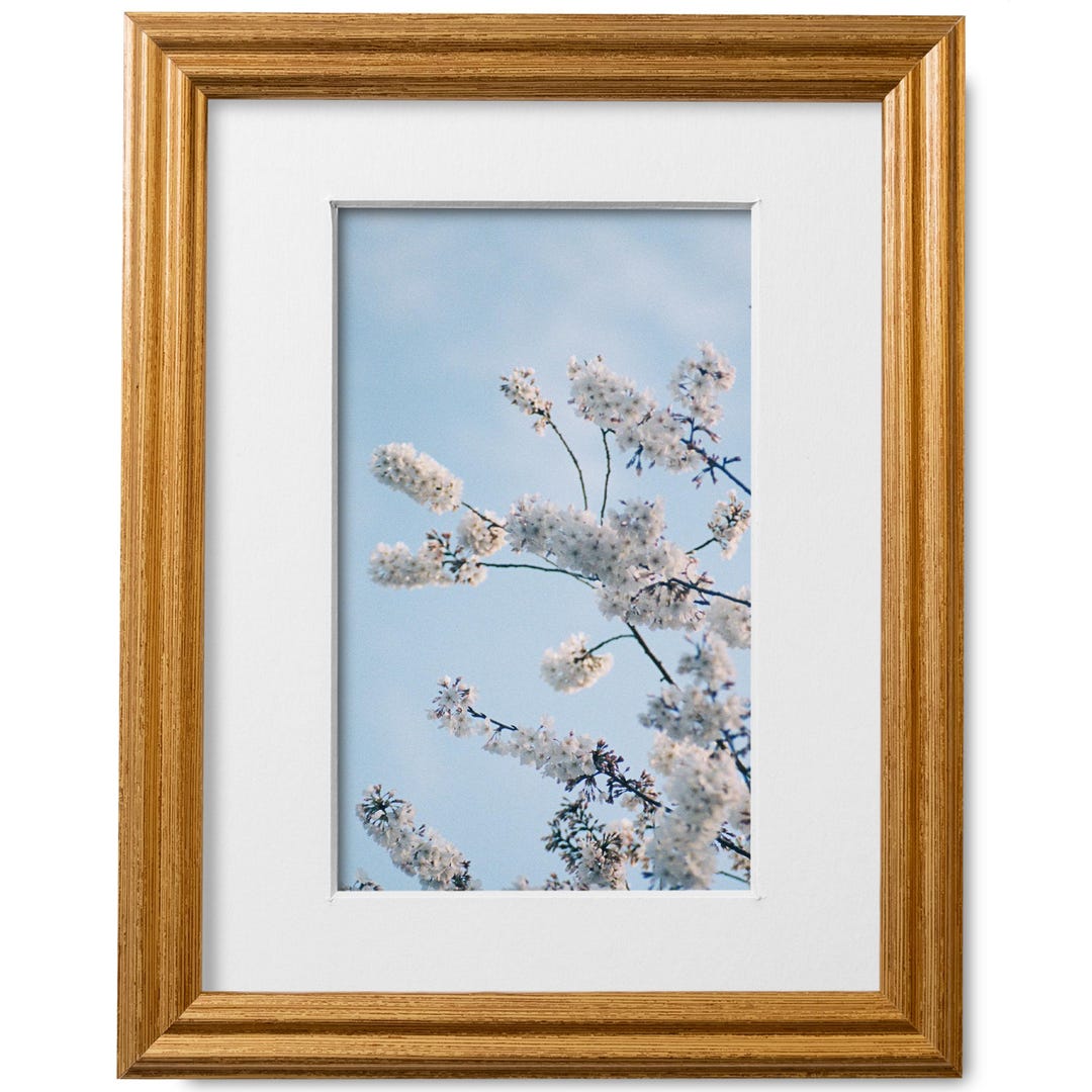 8x10 Honey Gold Picture Frame Matted to 5x7 for Wall Solid Wood Gold ...