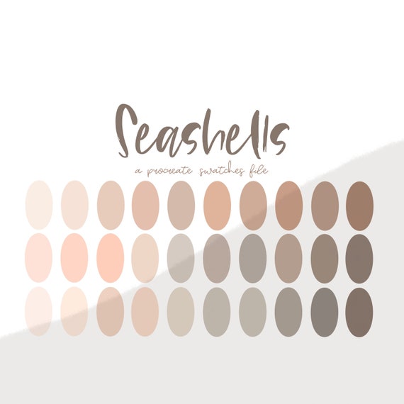 Seashells Color Palette Procreate Color Palette Neutral | Etsy