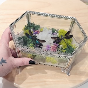 REAL Dragonflies, Damselflies, Oddity, Gifts for Her, Trinket Box, Jewelry Box, Oddities and ...