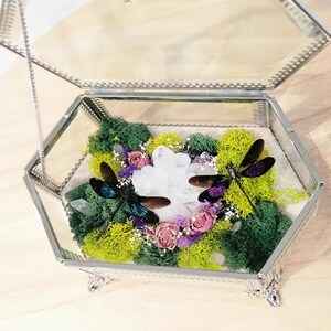 REAL Dragonflies, Damselflies, Oddity, Gifts for Her, Trinket Box, Jewelry Box, Oddities and ...