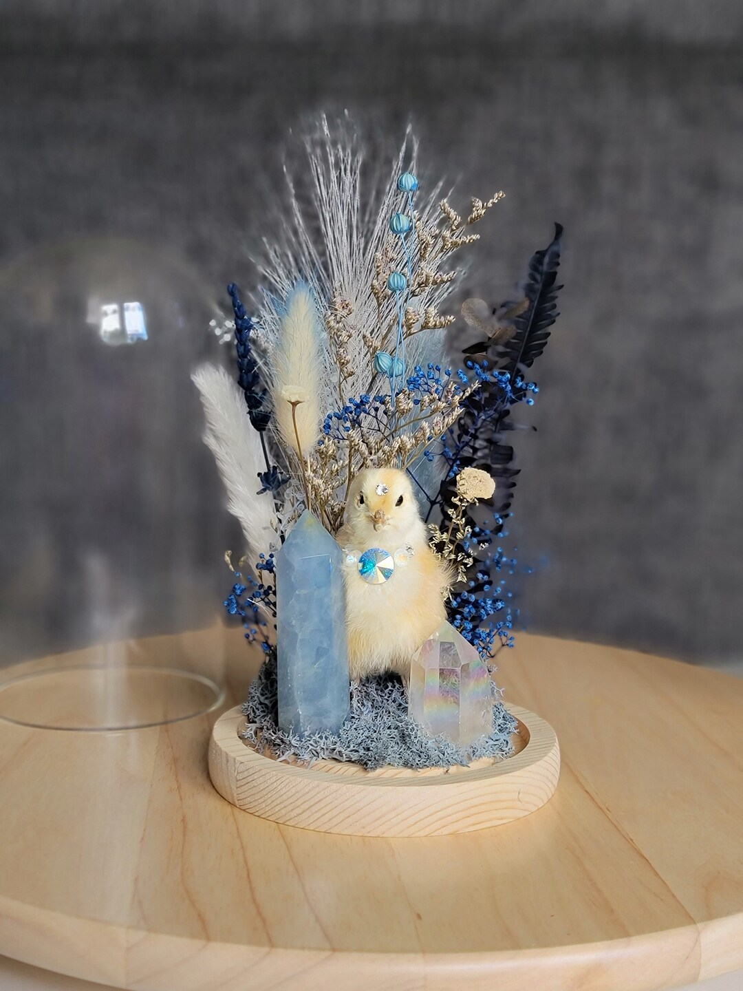 Chicken, Taxidermy Chick, Stuffed Chicken, Vulture Culture, Oddity ...