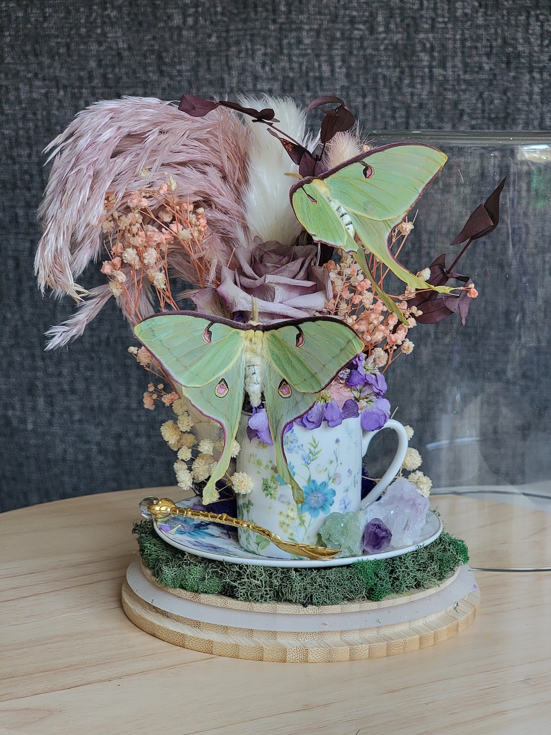 REAL Luna Moths, Moth Art, Moth Taxadermy, Taxidermy, Insect Art, Moss ...