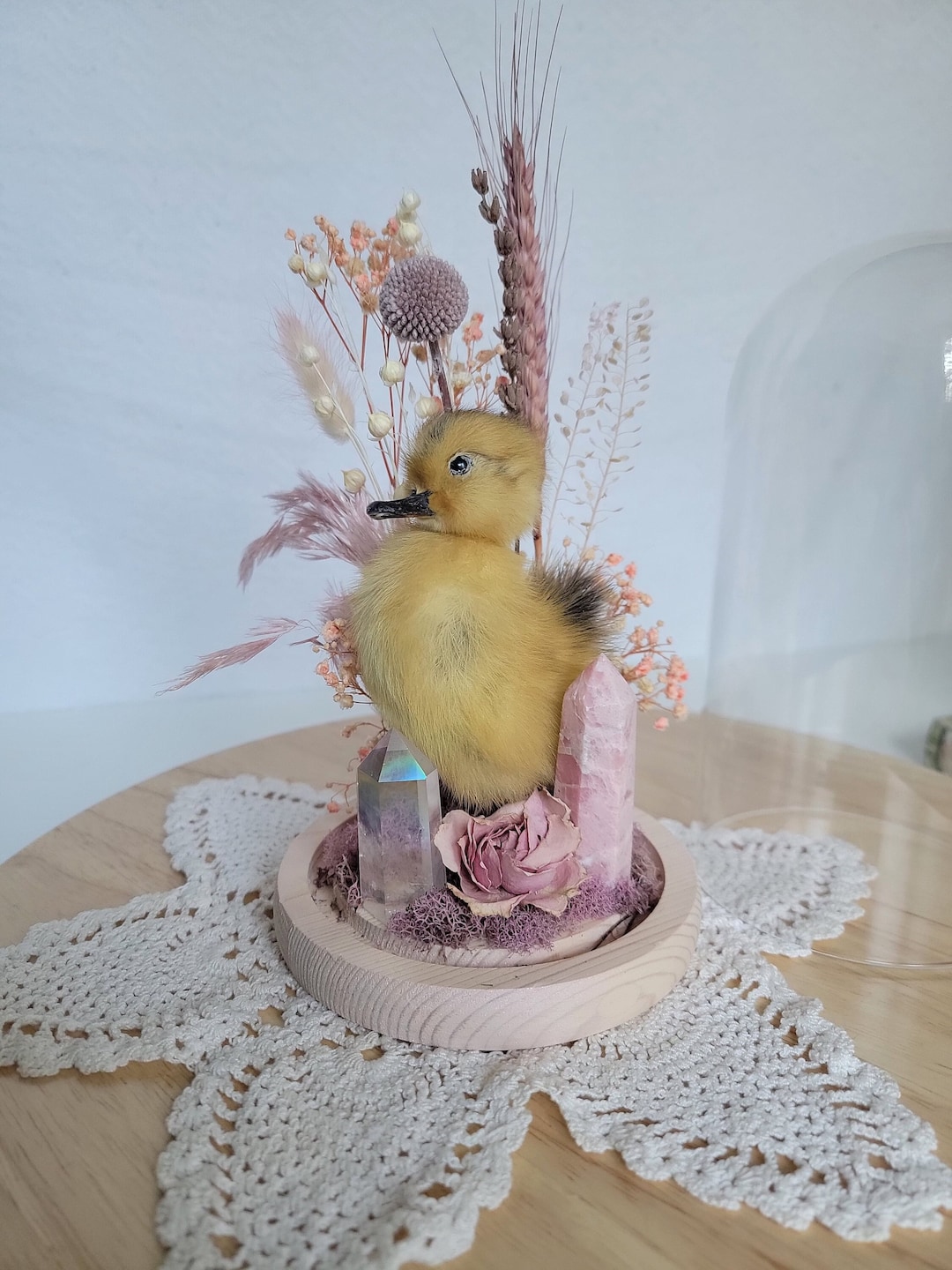 Duckling, Taxidermy Baby Duck, Cottagecore, Fairycore, Stuffed Duck ...