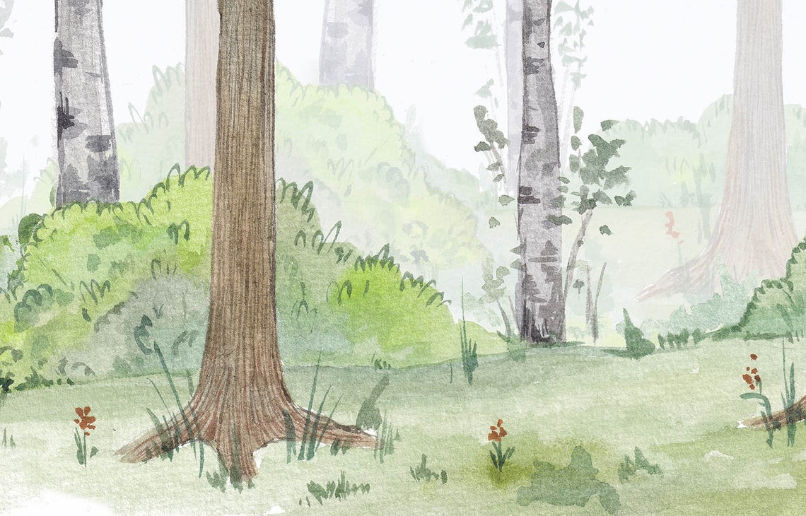 Hand Painted Forest Nursery Decor Mural,aquarelle Birch Tree Wallpaper ...