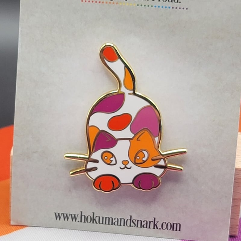 Lesbian Flag Cat Pin - Etsy
