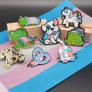 Transgender Pride Noodle Cute Enamel Pin in Trans LGBT Pride Flag ...