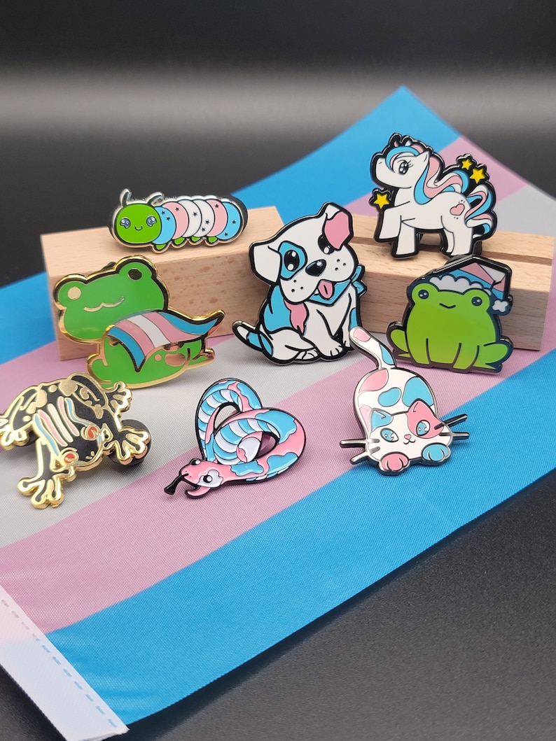 Transgender Pride Noodle Cute Enamel Pin in Trans LGBT Pride - Etsy