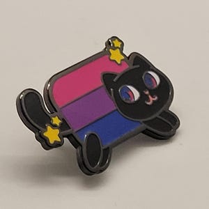 Nyan Cat Pride! the Meme Kitty in Rainbow Trans Pansexual Bisexual ...