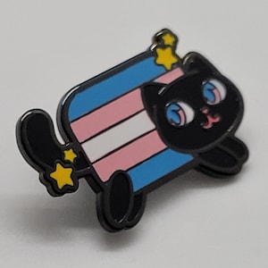 Nyan Cat Pride! the Meme Kitty in Rainbow Trans Pansexual Bisexual ...
