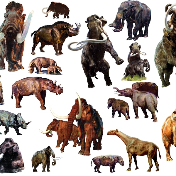 Prehistoric Animals - Etsy