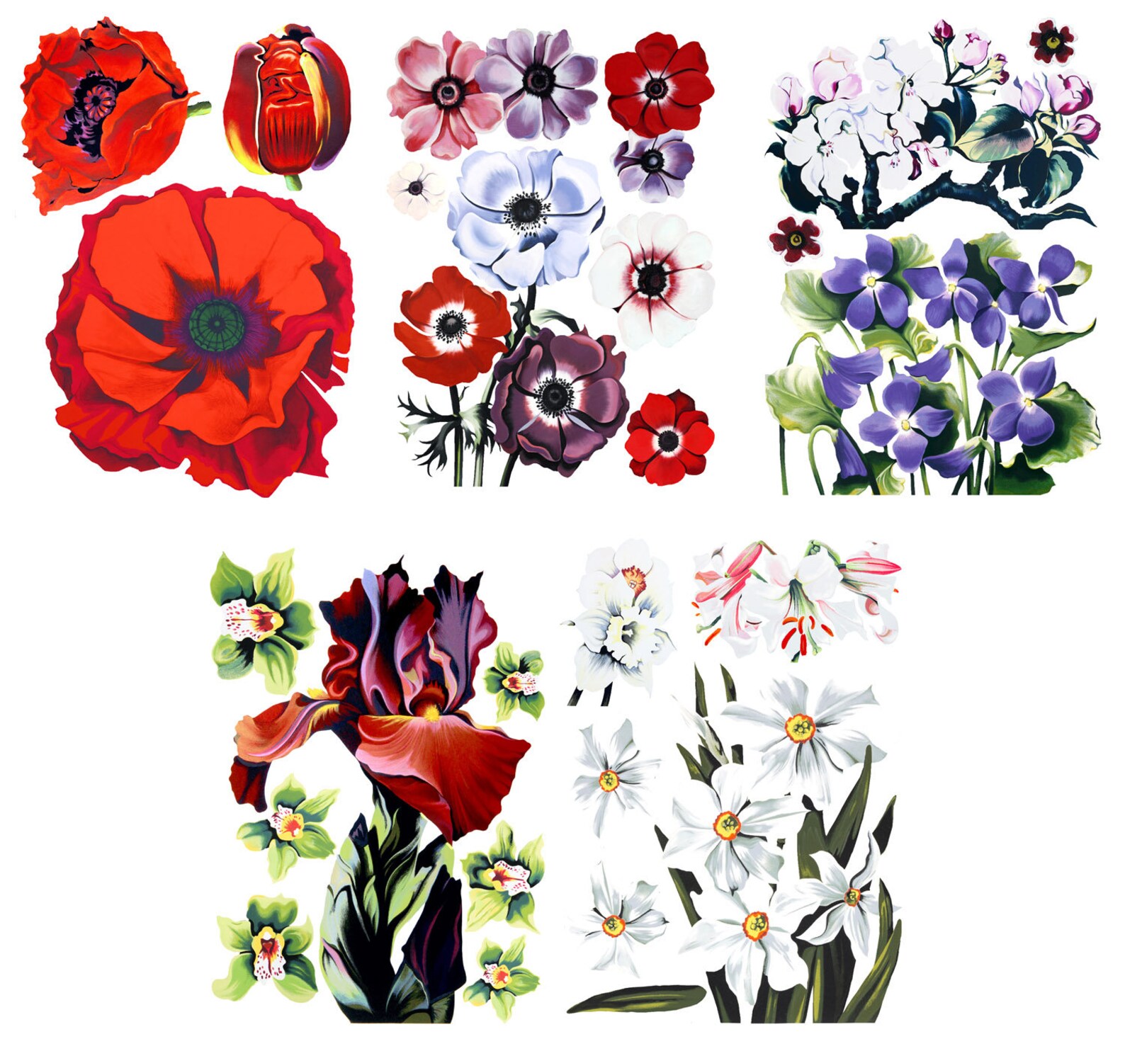 POPPY DAFFODIL FLOWERS Large Vinyl Stickers over 20 Large - Etsy