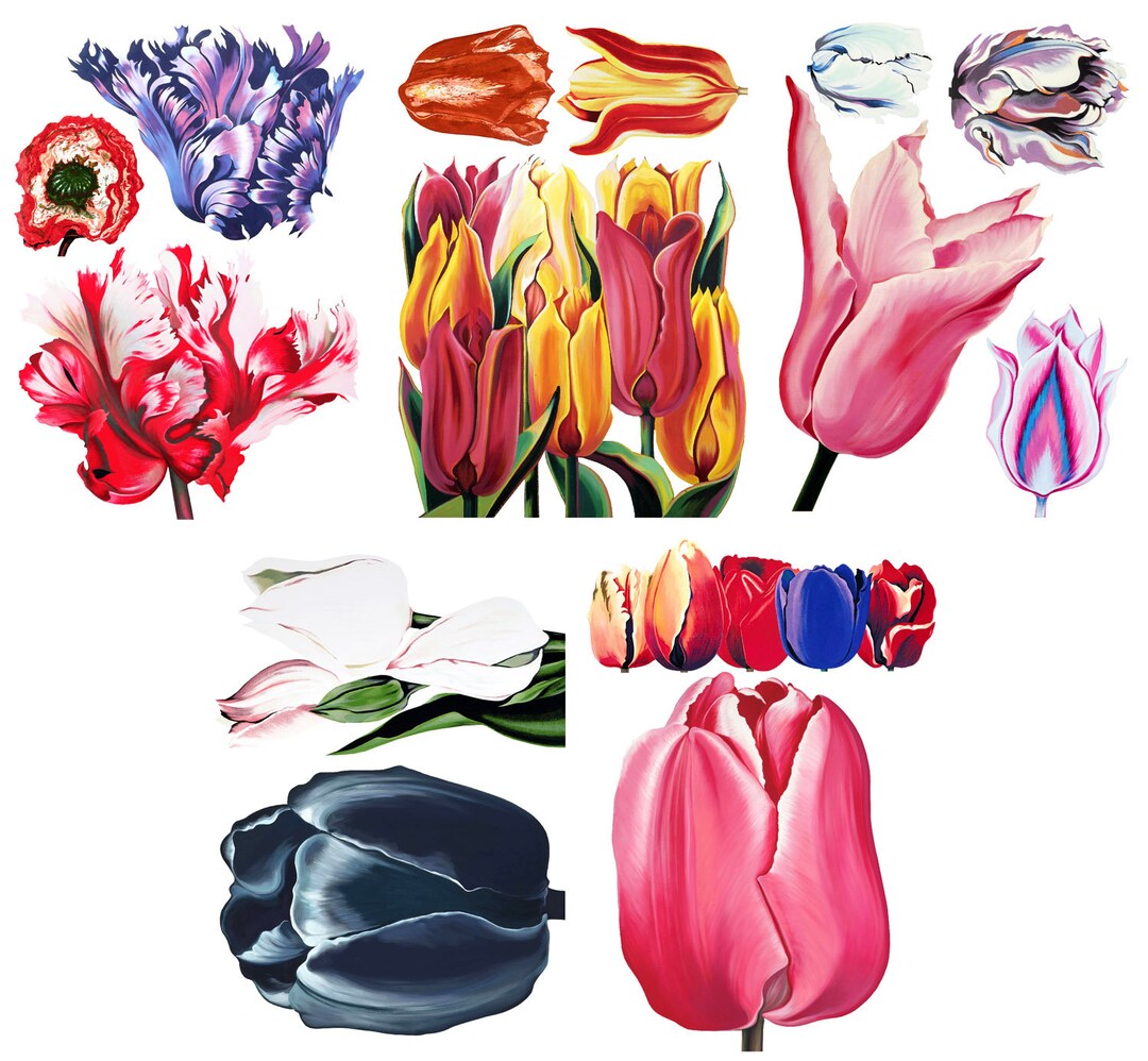 TULIPS FLOWERS, Large Vinyl Stickers over 20 Large Sticker Awesome ...
