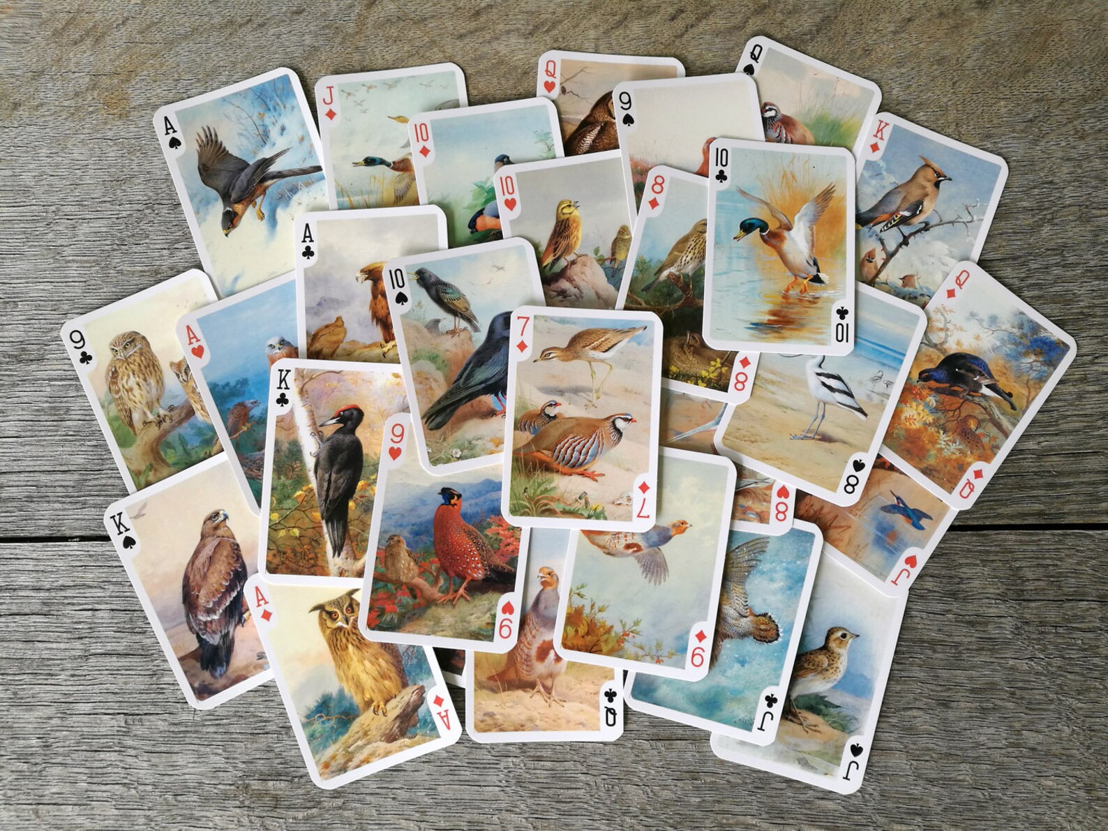 AMAZING WILD BIRDS Playing Cards poker Deck 54 Cards All | Etsy