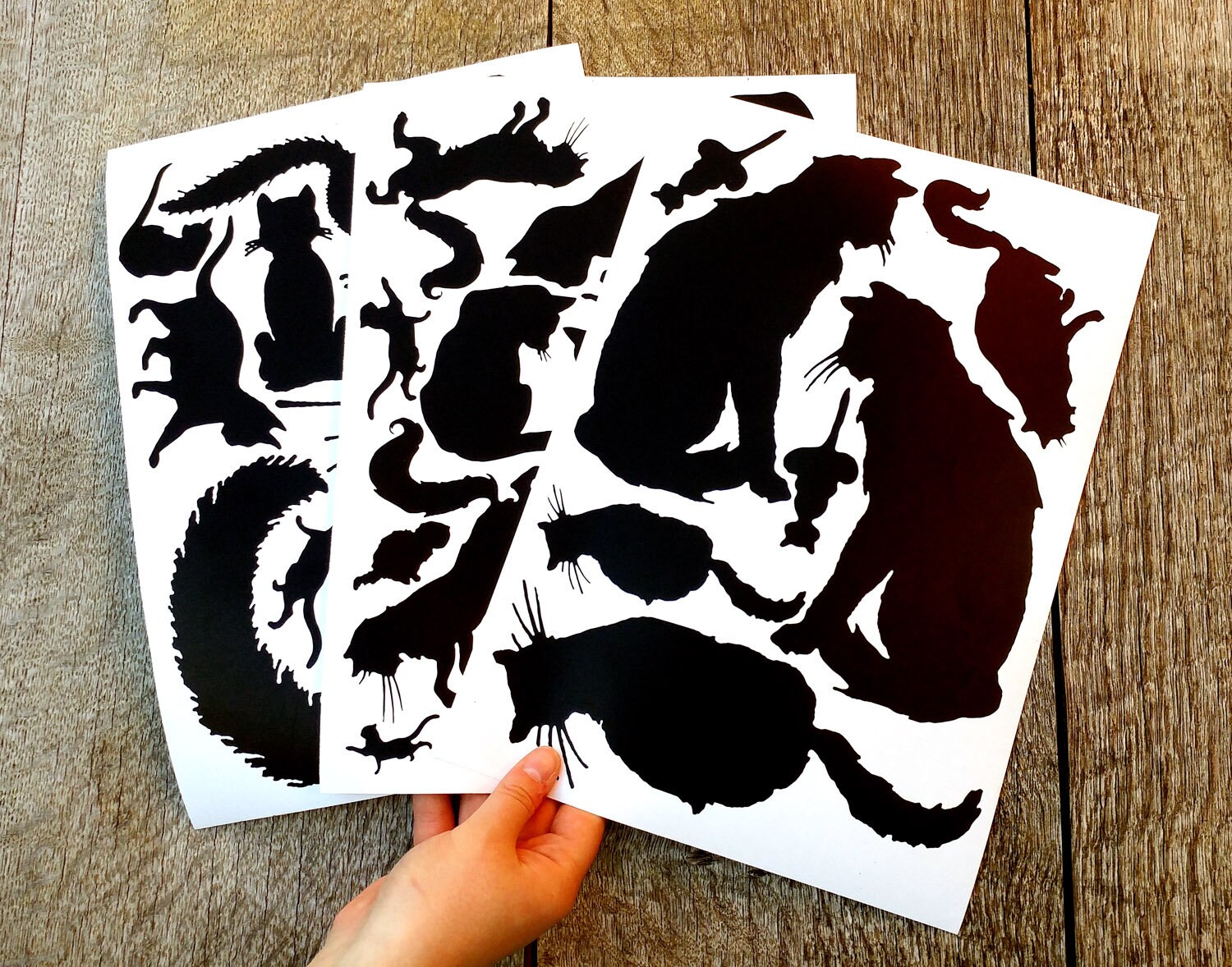 Cat Vinyl Stickers 27 Cats in Total Black Matte Waterproof - Etsy