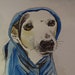 Animal Portrait / Illustration From Your Photo, DIN A4 - Etsy