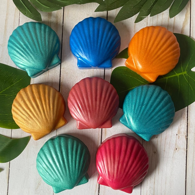 Seashell Favors - Etsy