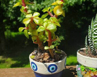Evil Eye Plant Pot - Etsy
