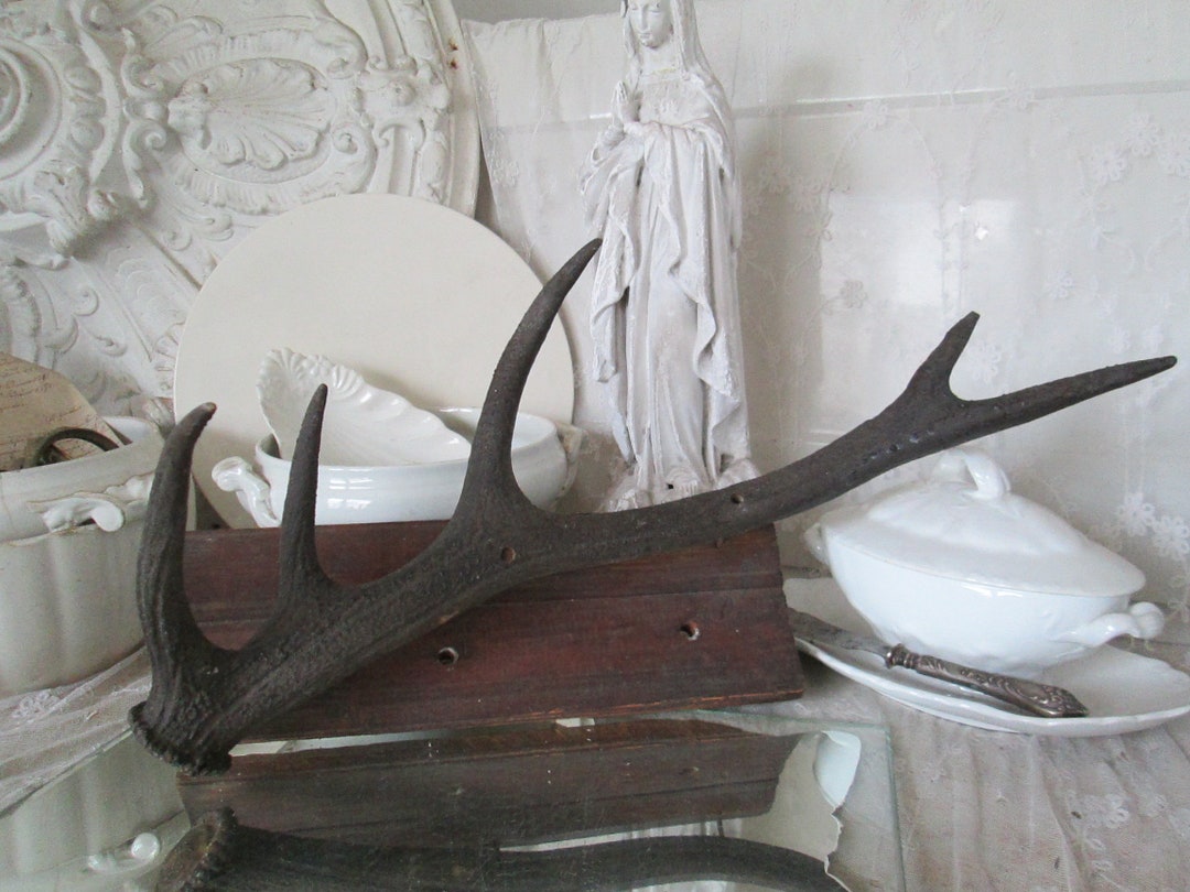 FRANCE Uraltes Large Deer Antler Shedding Rod Approx. 49 Cm Antler Rod ...