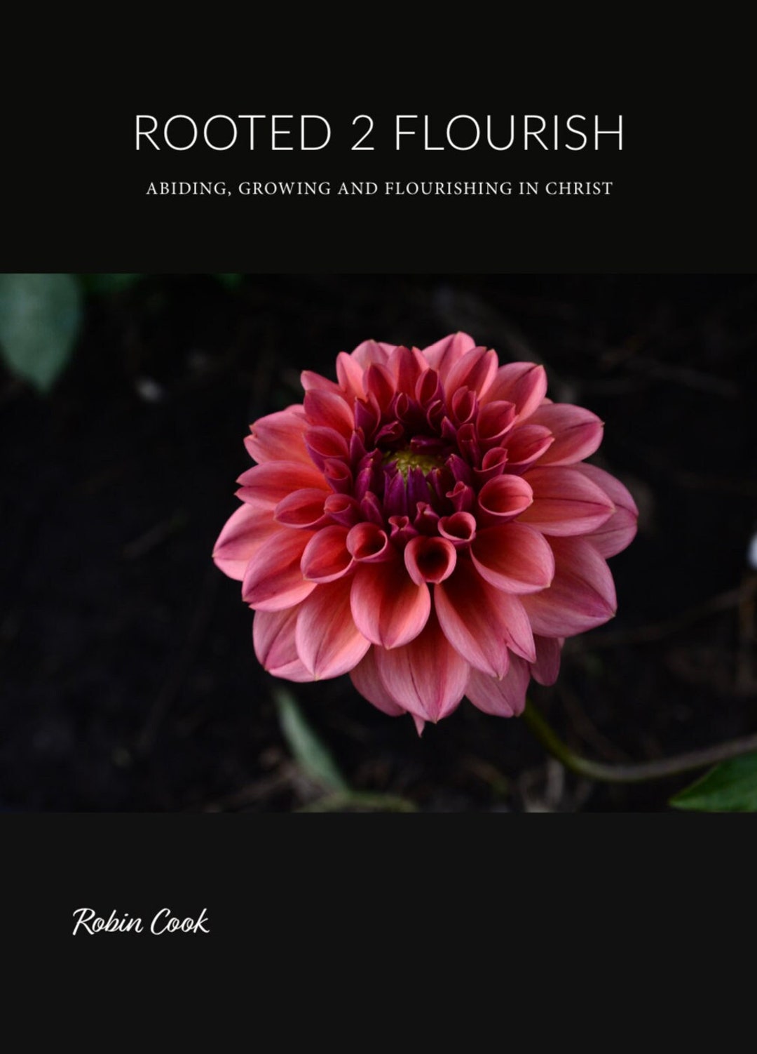 Rooted 2 Flourish Devotional Journal | Discipleship Journal | Daily ...