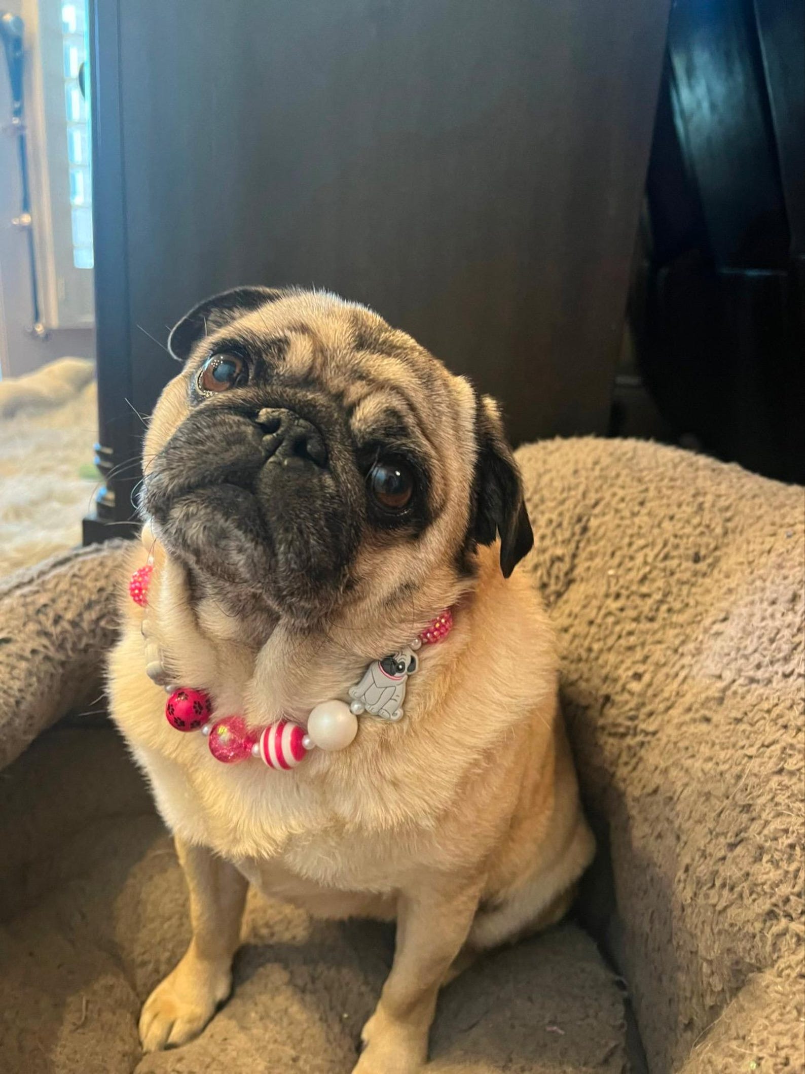 Retro Pug Specialty Pug Bead Necklace - Etsy