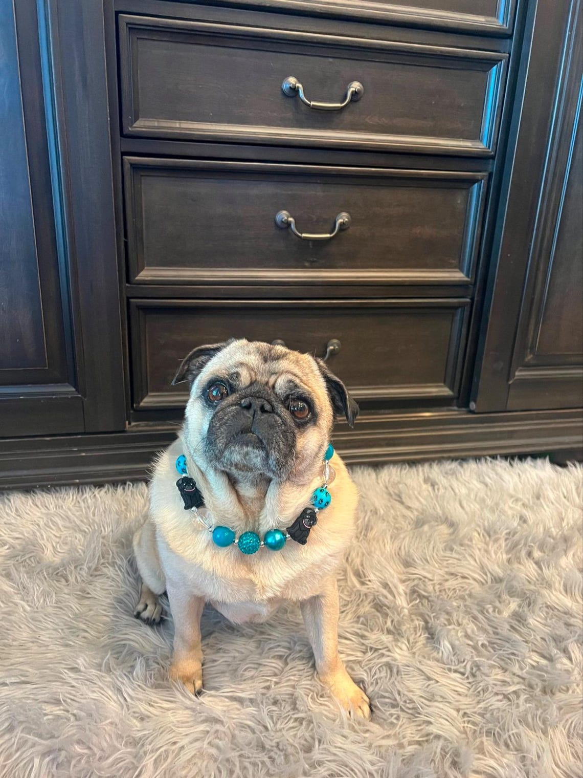 Retro Pug Specialty Pug Bead Necklace - Etsy