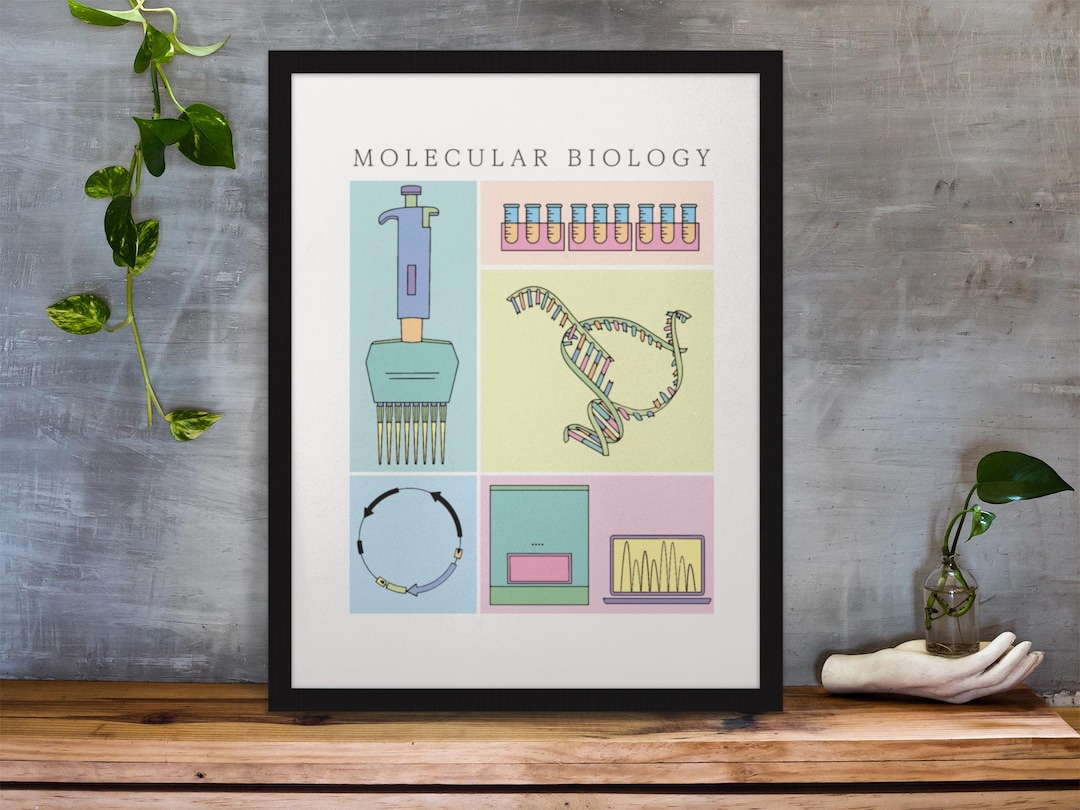 Molecular Biology Poster | DNA, Genetics, Laboratory, Science, Phd Gift ...