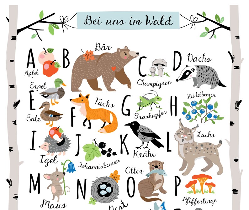 A2 ABC Tiere und Pflanzen unseres Waldes - Etsy
