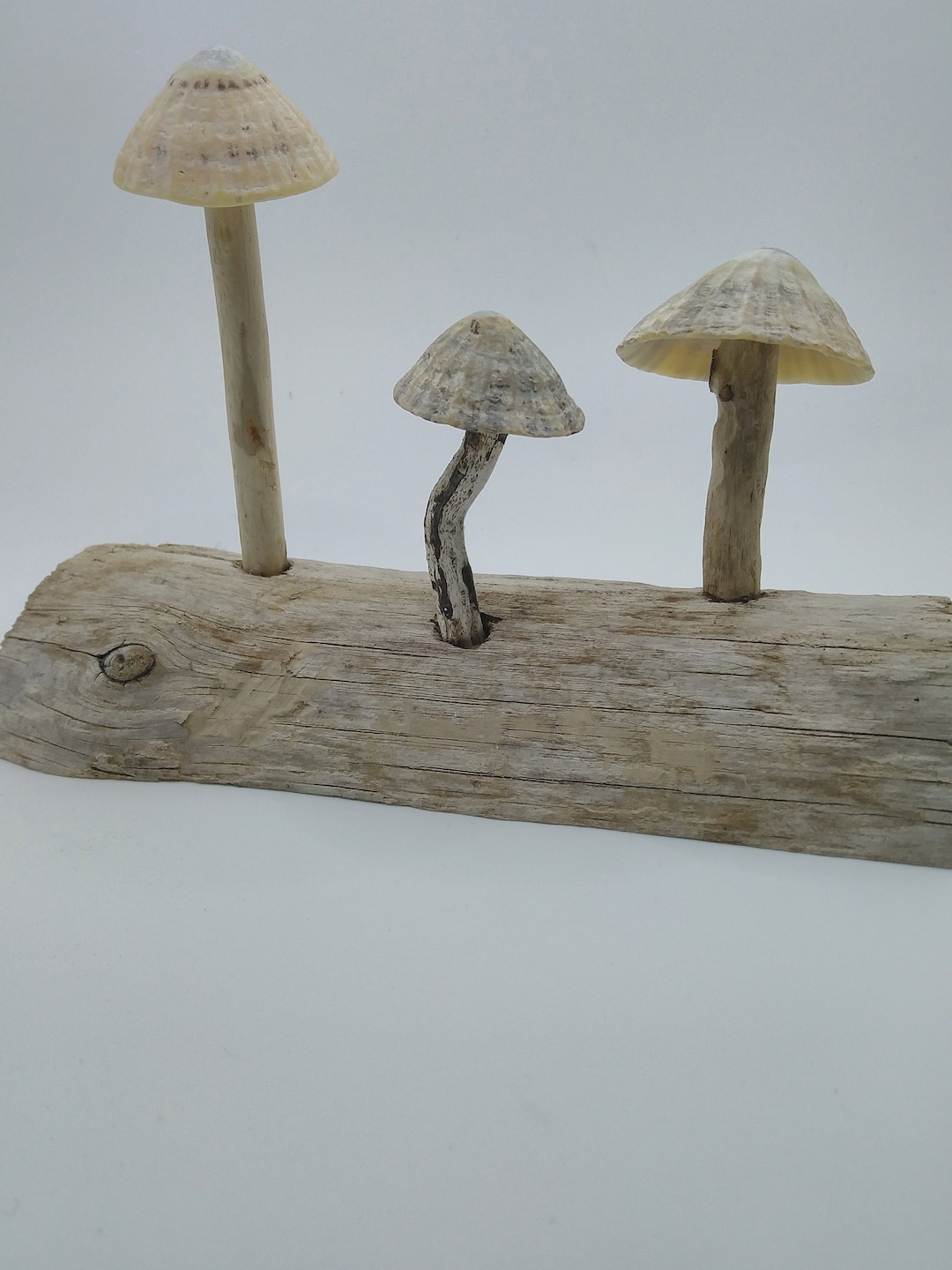 Indoor/outdoor Driftwood Toadstools - Etsy