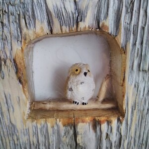 Misty Owl,driftwood Wall Mounted Clock.choice of 3 Different Clock Face ...