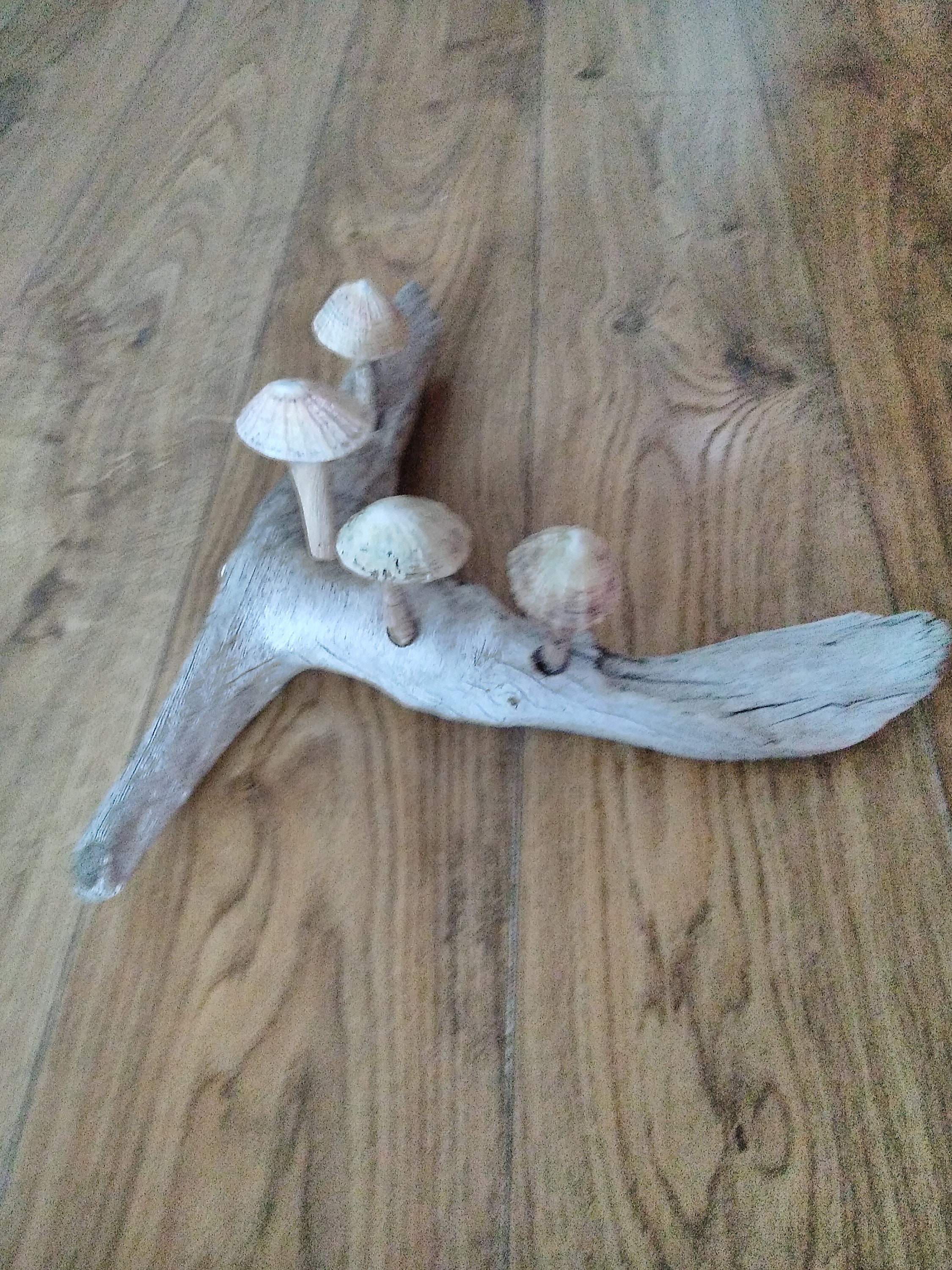Indoor/outdoor Driftwood Toadstools - Etsy