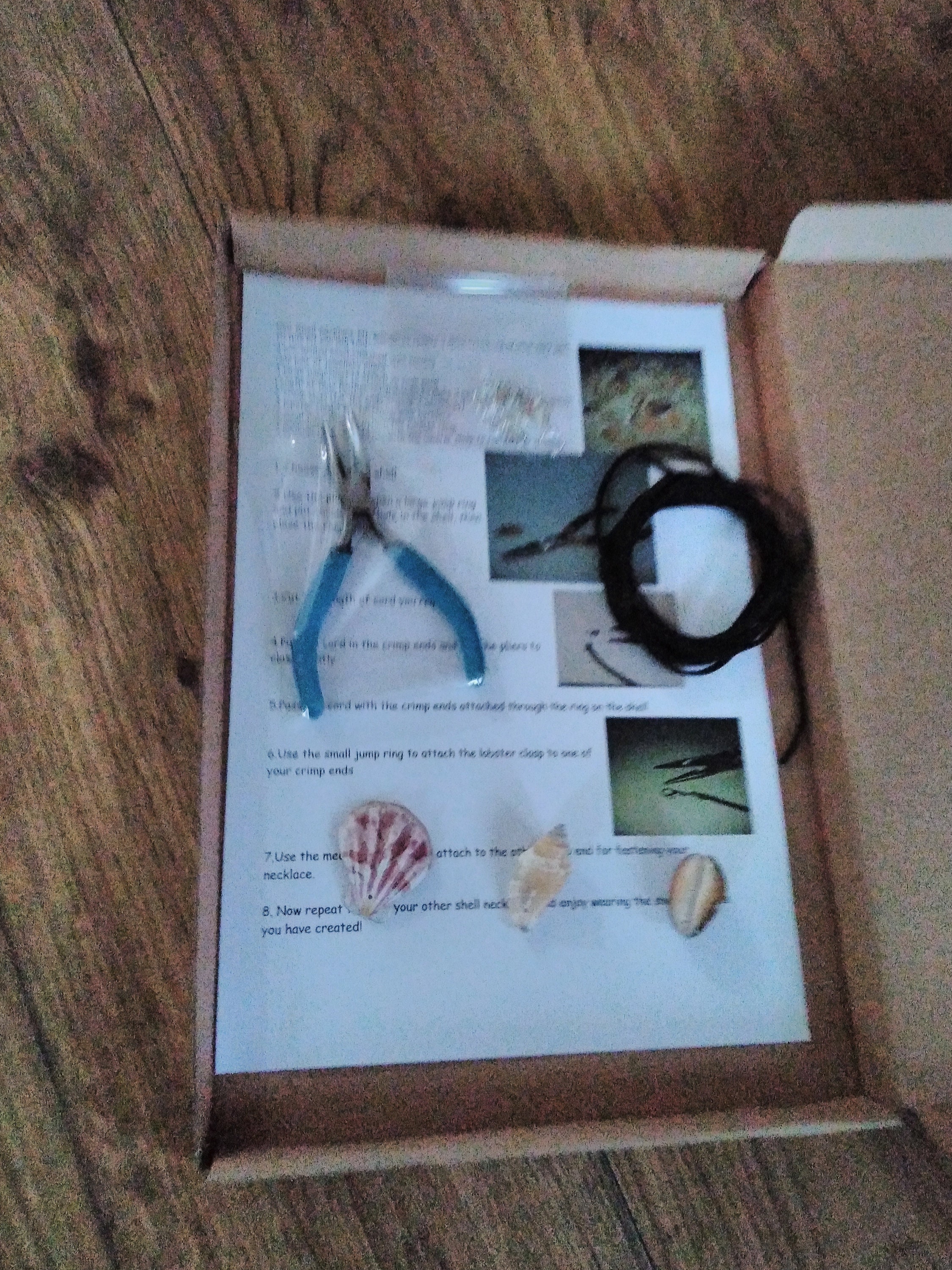 Seashell Necklace Craft Kit. - Etsy