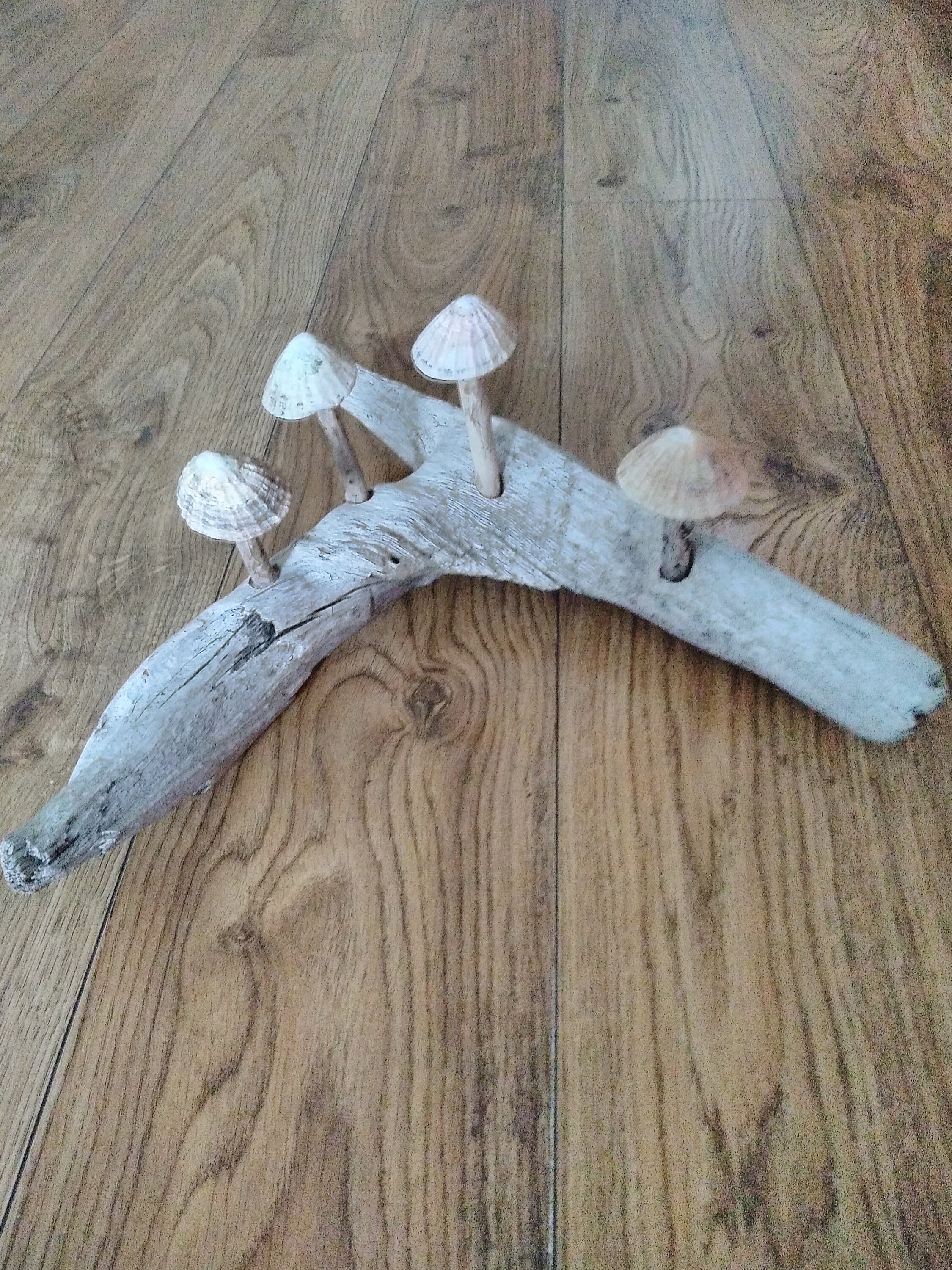 Indoor/outdoor Driftwood Toadstools - Etsy