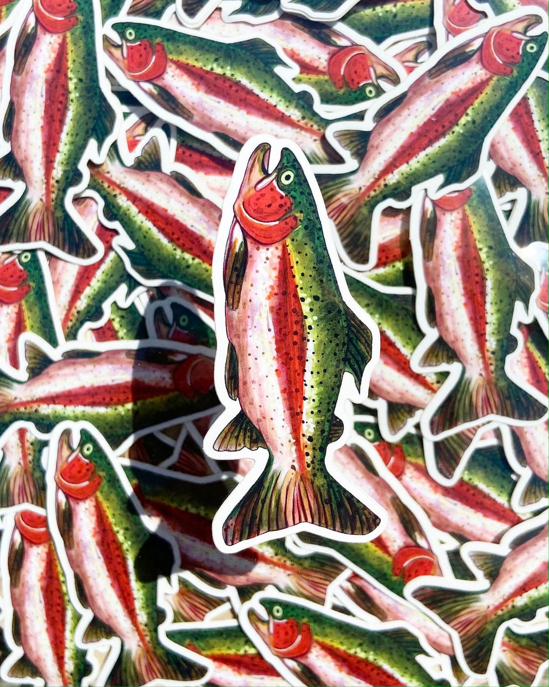 Rainbow Salmon Glossy Vinyl Sticker - Etsy